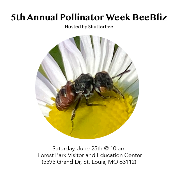 June 2022 Bulletin – SHUTTERBEE