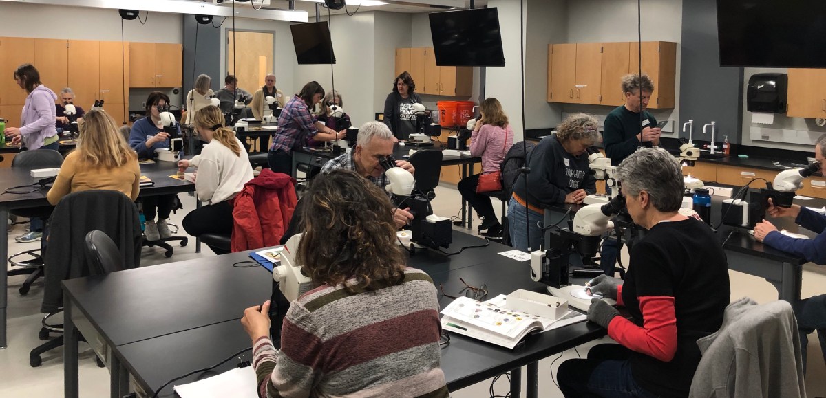 April Bulletin – SHUTTERBEE